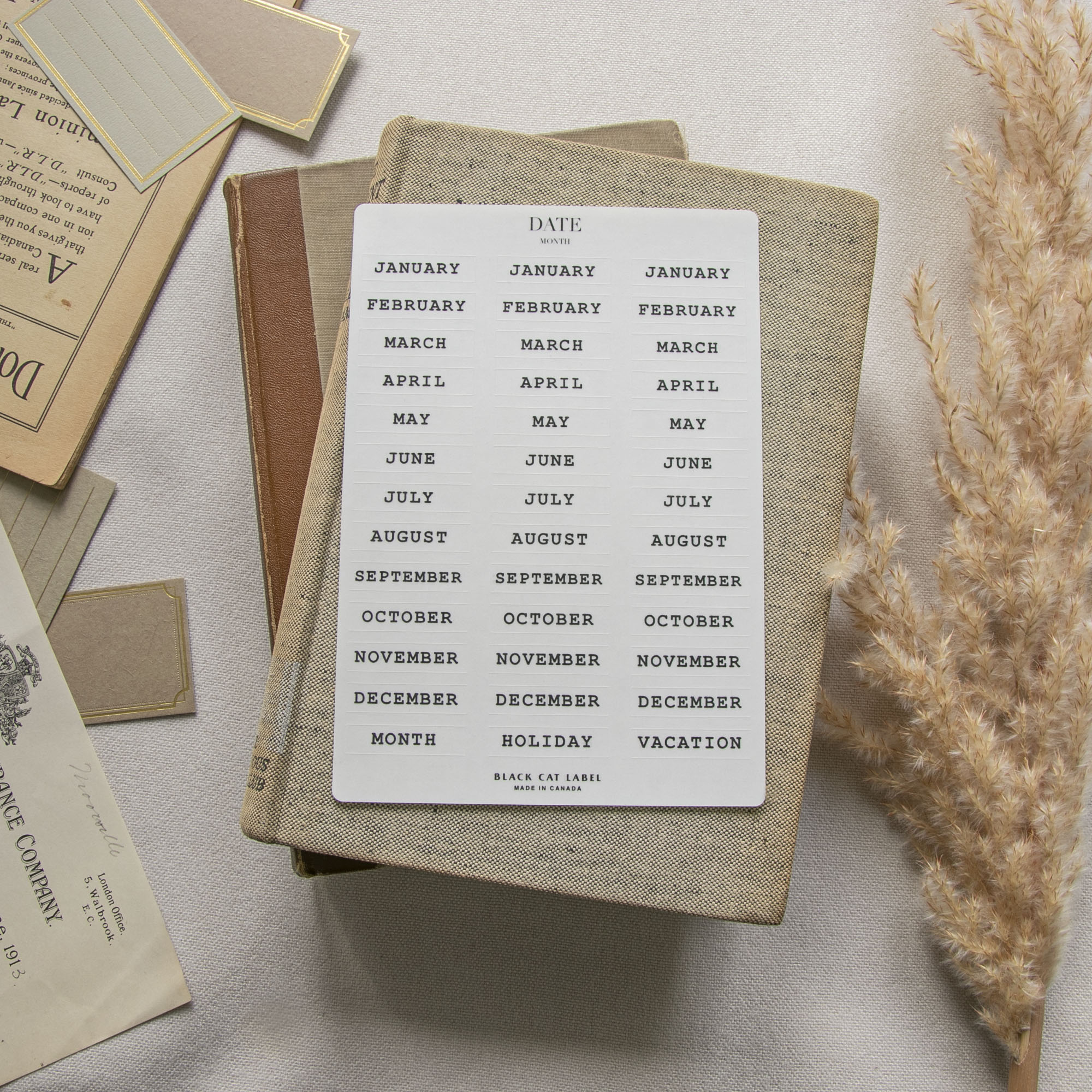 Month Date Transparent Matte Paper Sticker Sheet - Black Cat Label